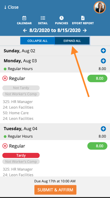 e3 Mobile App: Timesheets for Employees and Managers